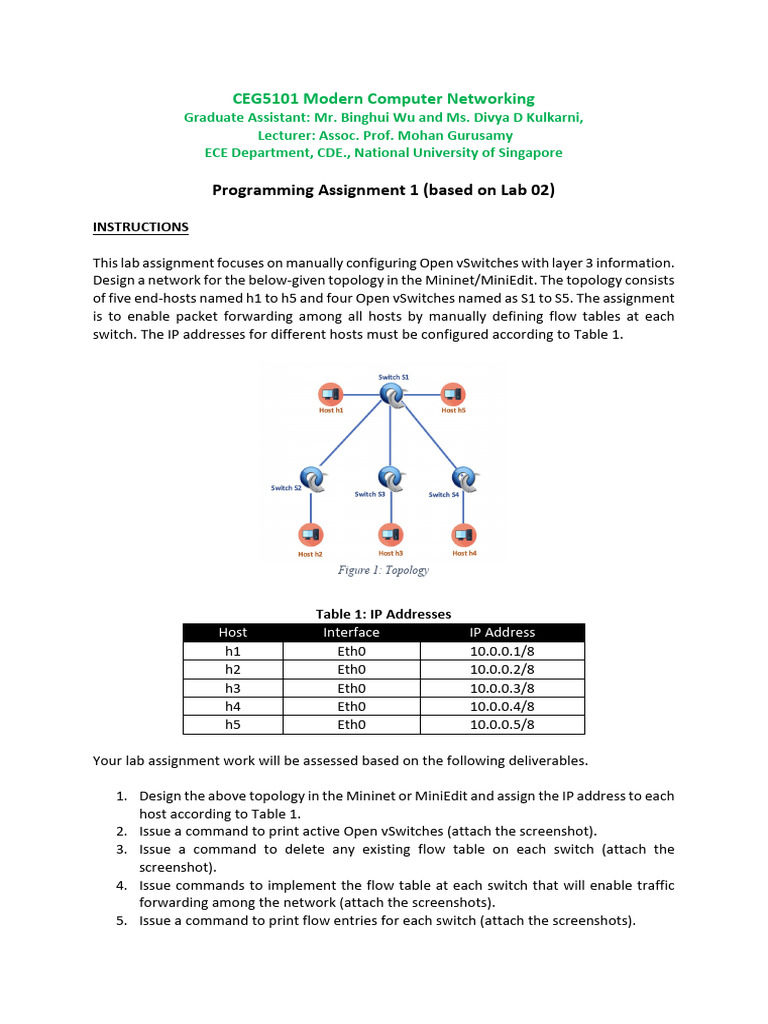 CEG5101-Programming-Assignment 1 | PDF