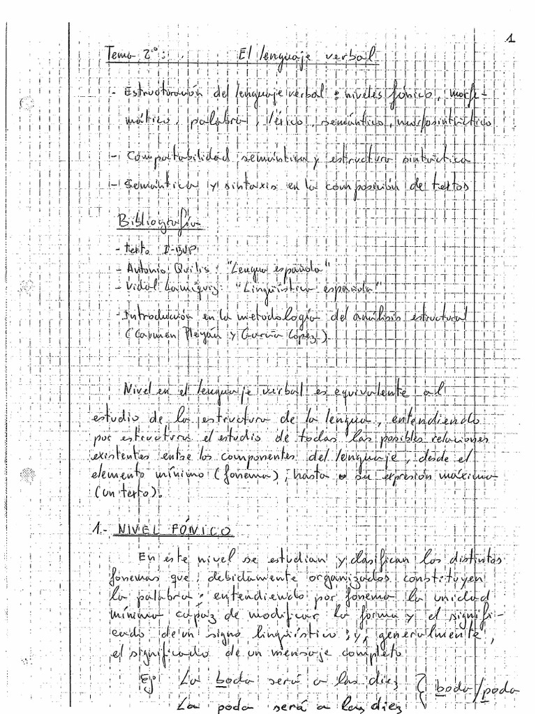 El Lenguaje Verbal | PDF