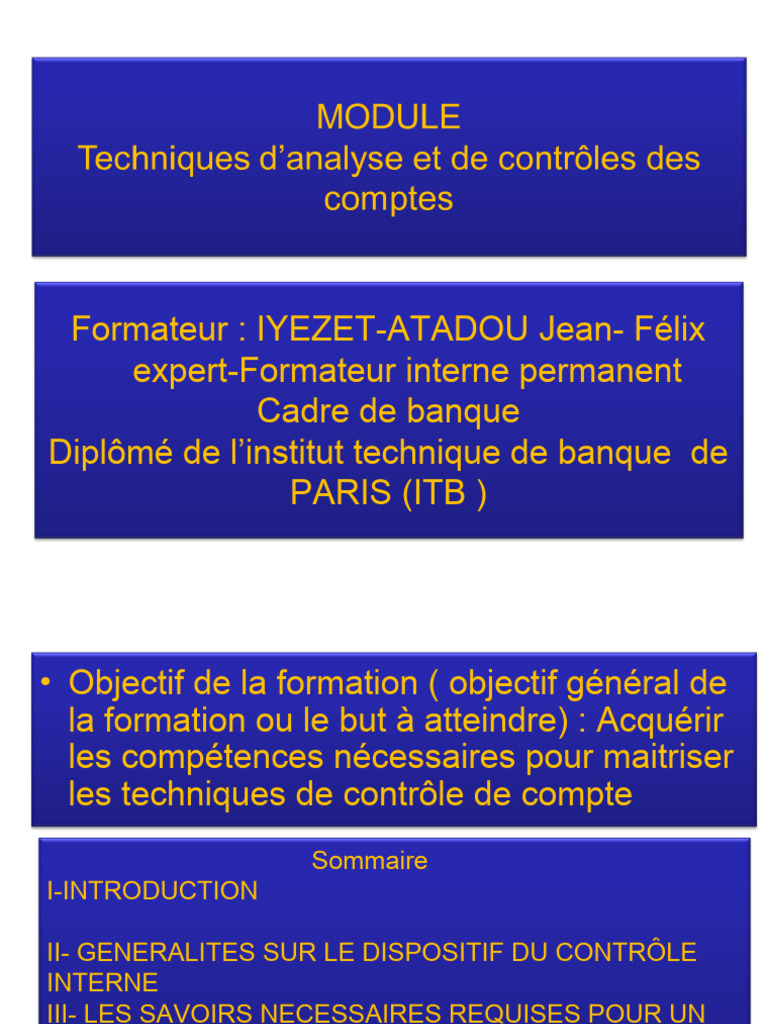 Techniques de contrôle des comptes bancaires | PDF | Contrôle interne ...
