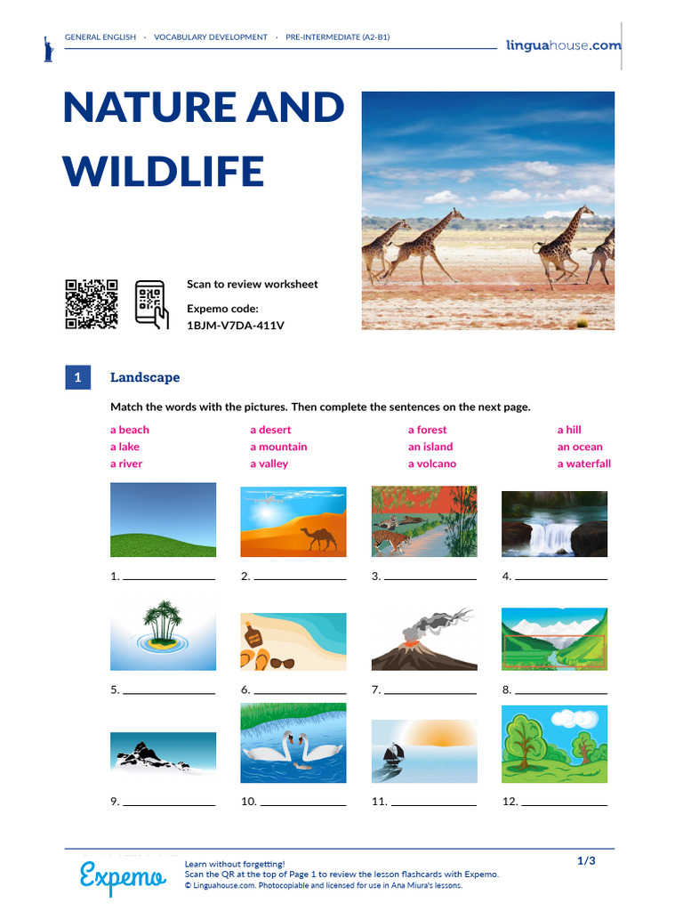 Nature and Wildlife Vocabulary A2-B1 | PDF | Natural Disasters ...