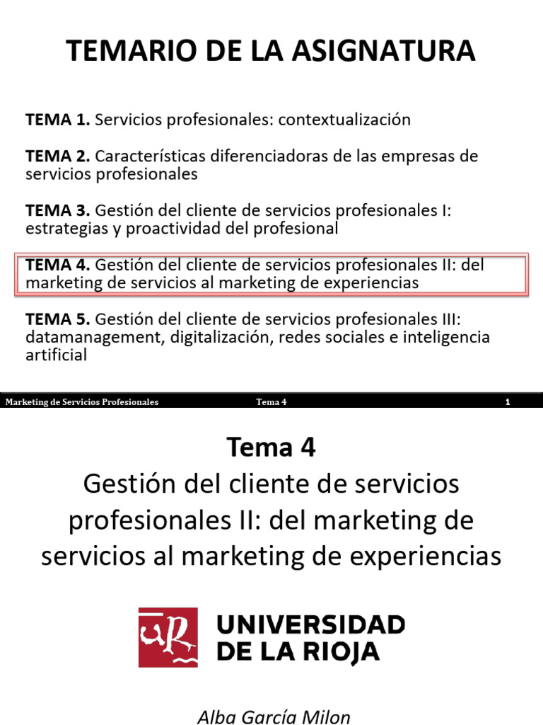 Marketing Servicios Profesionales TEMA4 | PDF