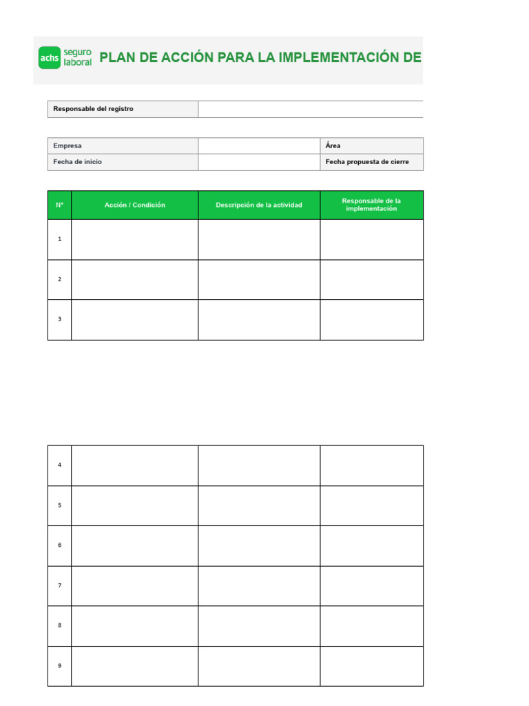Plan de Accion | PDF