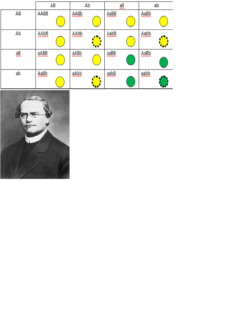 Gregor Mendel | PDF