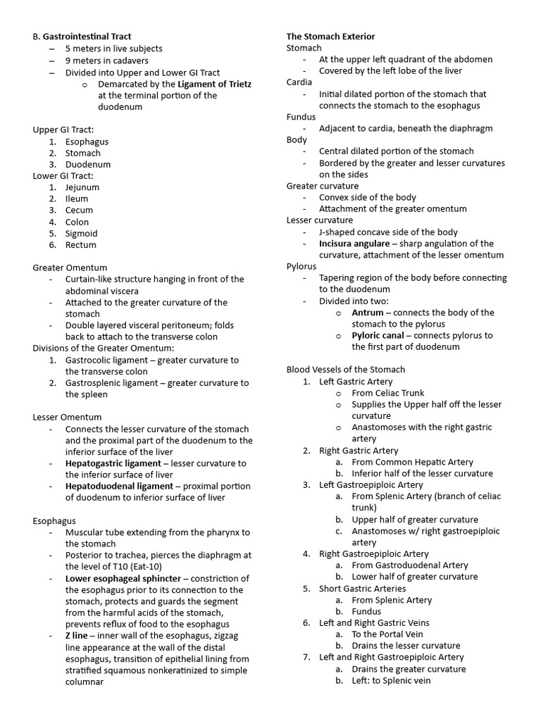 Anatomy Gi Tract Pdf Stomach Large Intestine