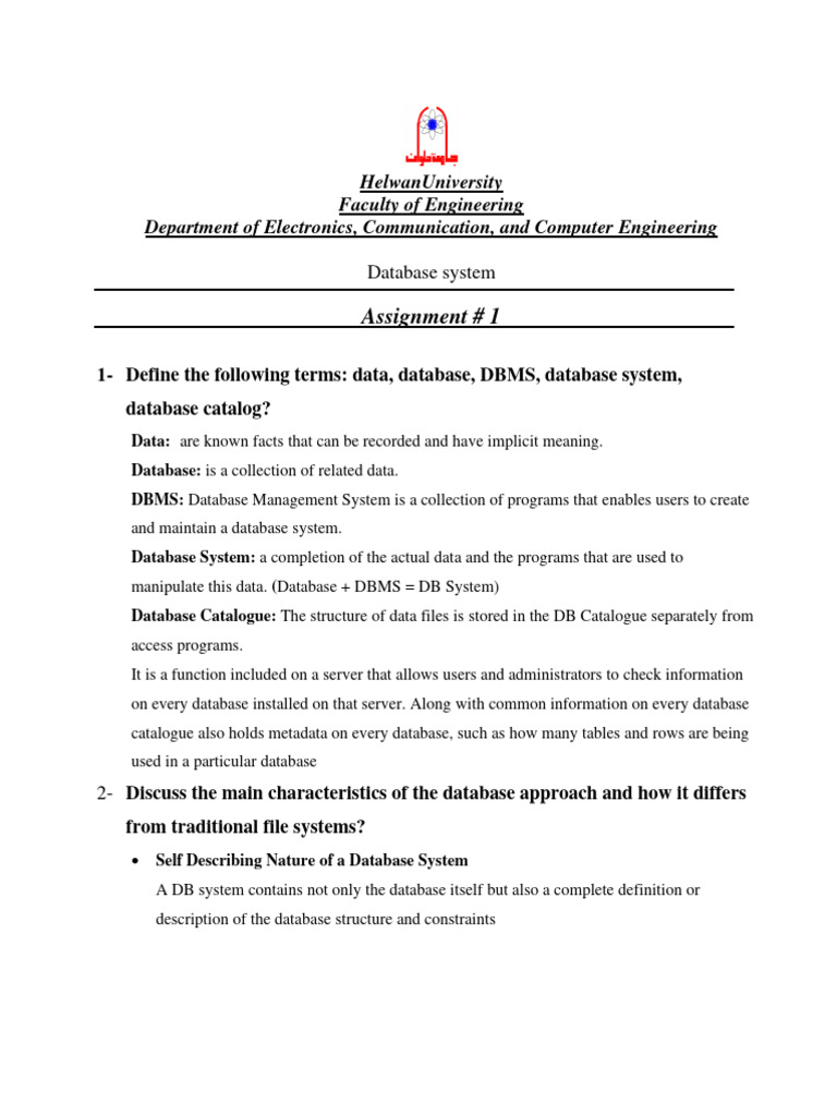 Sheet1 Ans | PDF | Databases | Information Science