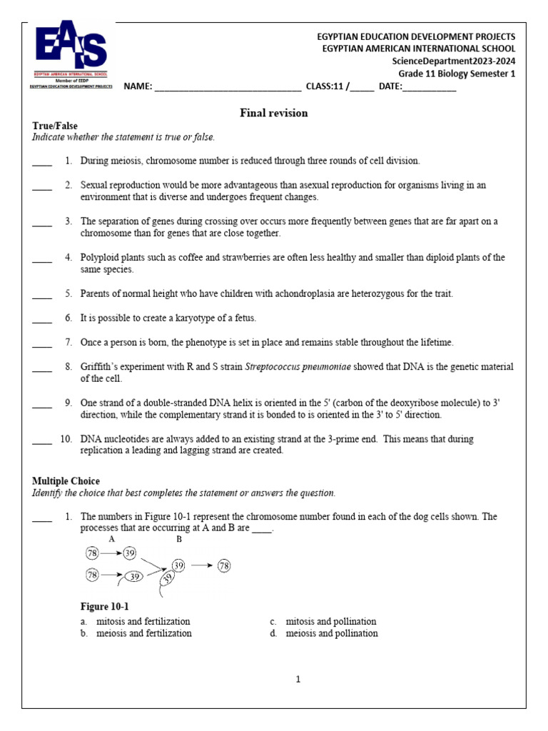Final Revision Questions | PDF | Dna | Dominance (Genetics)
