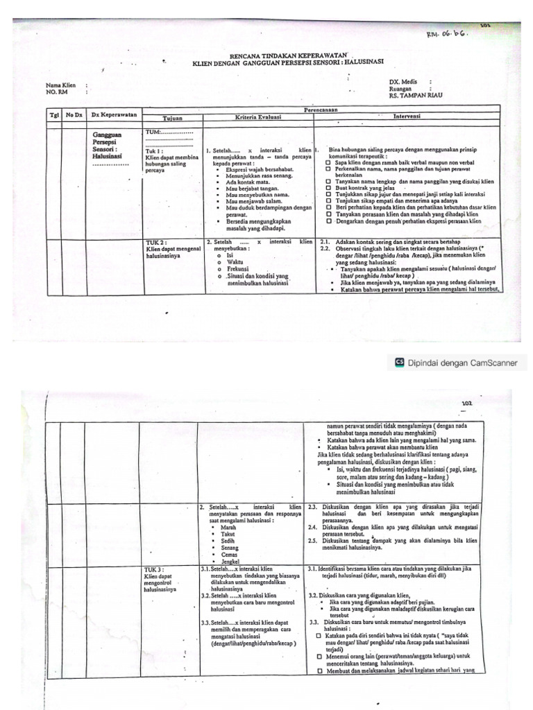 Rencana Keperawatan Halusinasi | PDF