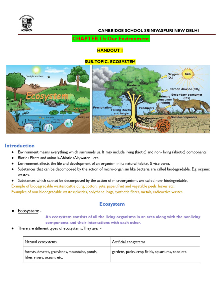 Our Environment-Handout 1 | Download Free PDF | Ecosystem | Plants