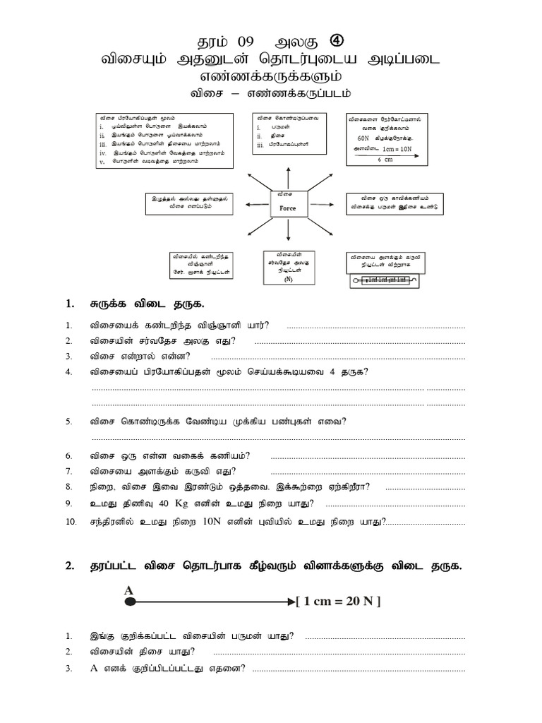 Grade 9 - Unit 4 - Work Sheet | PDF