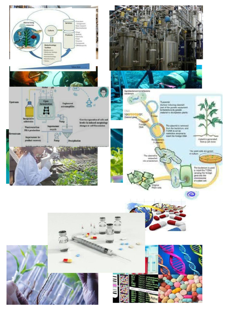 Applications of Biotechnology in The Industry | PDF | Biotechnology ...