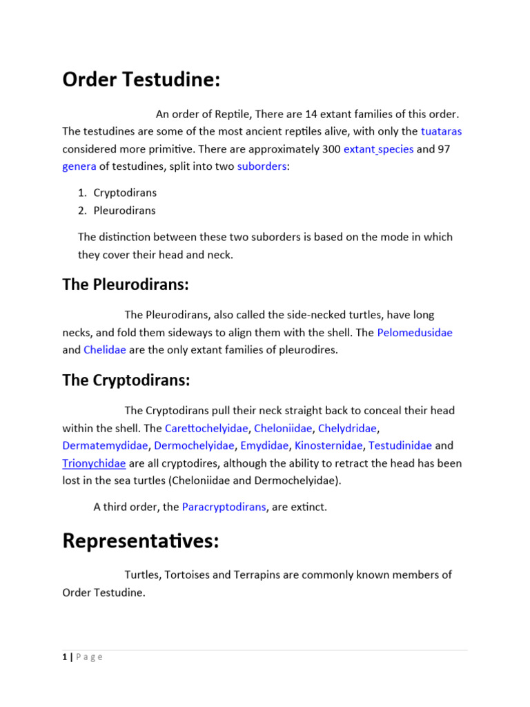 Overview of Order Testudines | PDF | Turtle | Herpetology