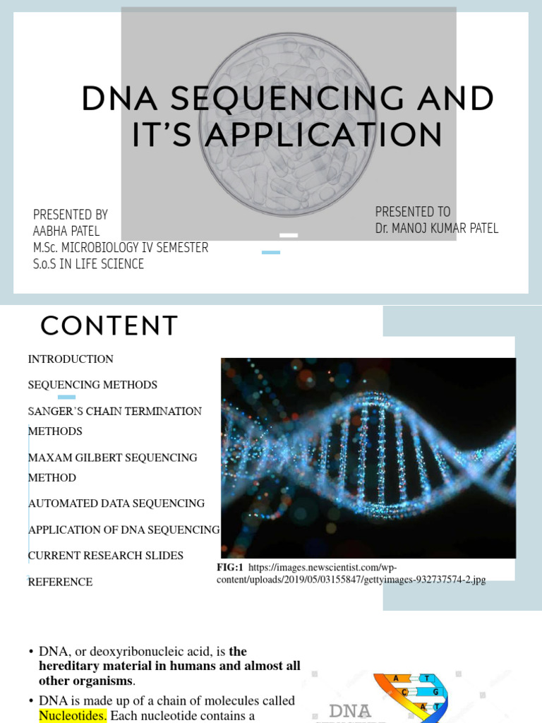 Maxam-Gilbert DNA Sequencing Overview | PDF