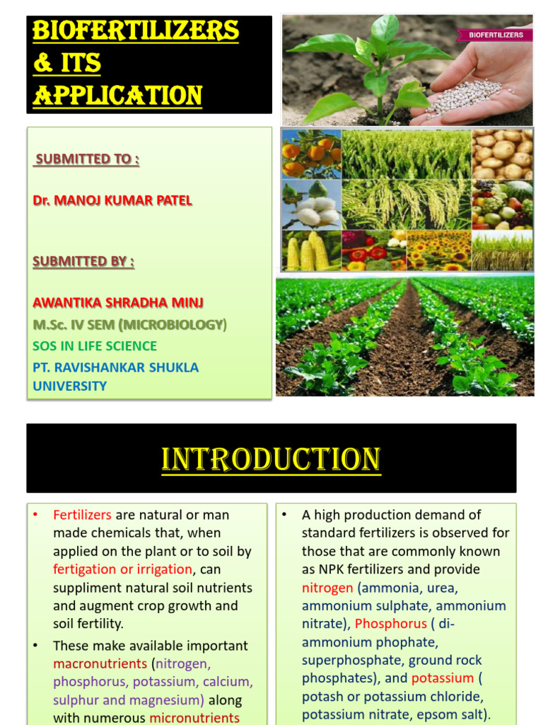 BIOFERTILIZERS & ITS APPLICATION (Awantika) | PDF | Fertilizer | Plant Nutrition