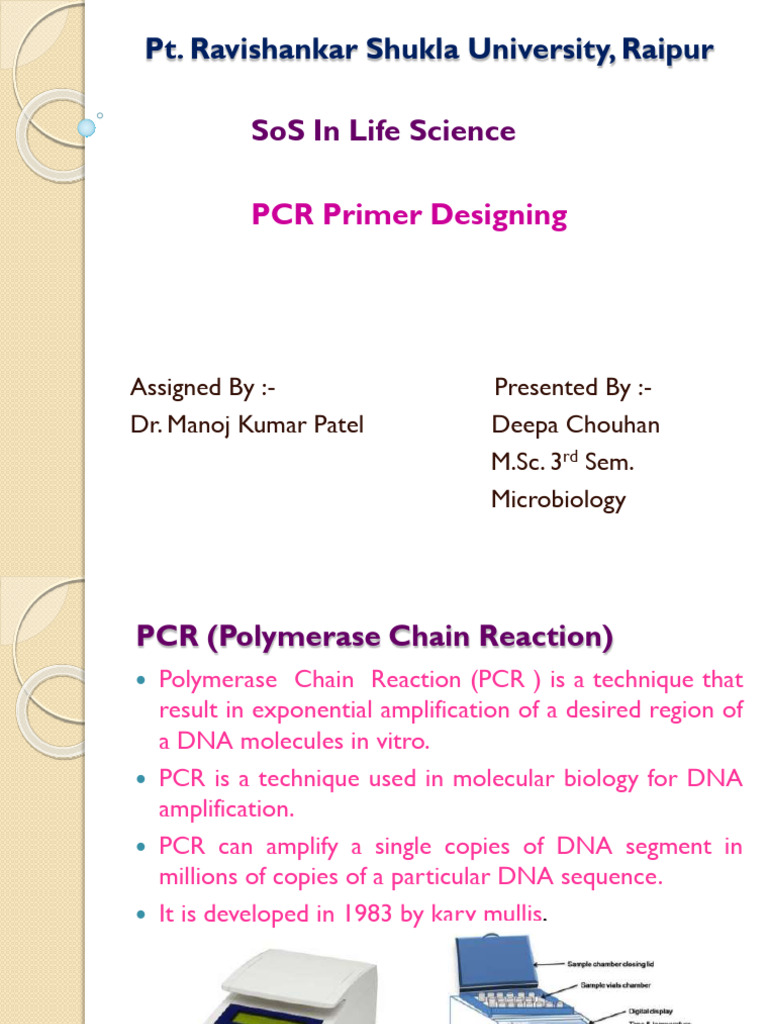 4.PCR Primer Designing (Deepa Chouhan) - 1 | PDF | Polymerase Chain ...