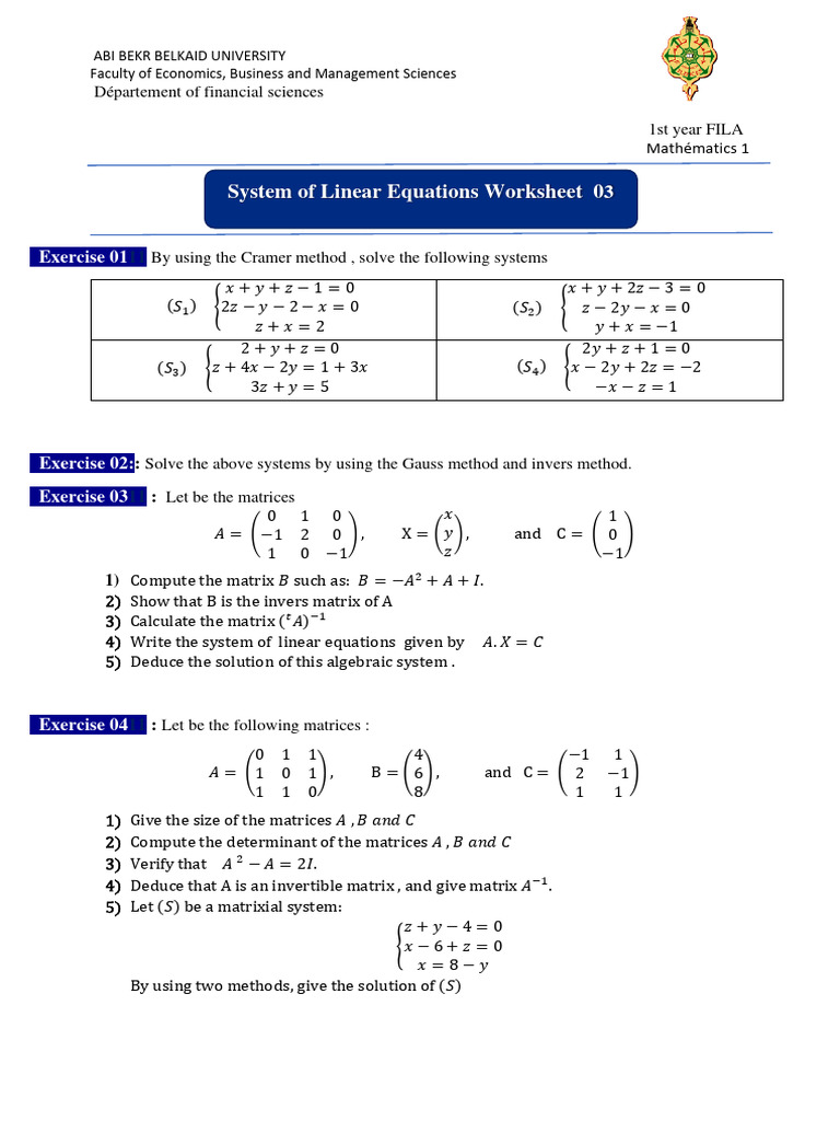 Matrix Worksheet 03 | PDF | Matrix (Mathematics) | Mathematical Relations
