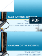 Prostate Fossa Contouring Guide | PDF | Prostate | Urinary Bladder