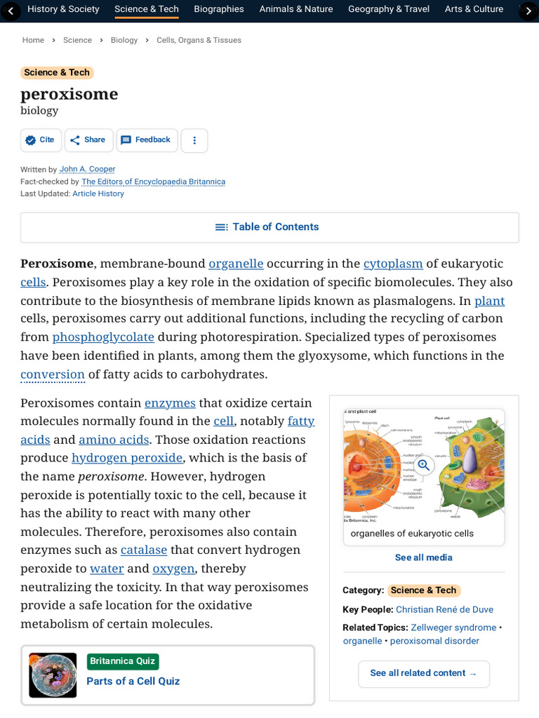 Peroxisome: Biology | PDF | Lysosome | Autophagy