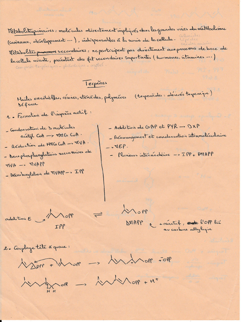 Chimie Naturelle Résumé Hafsa | PDF