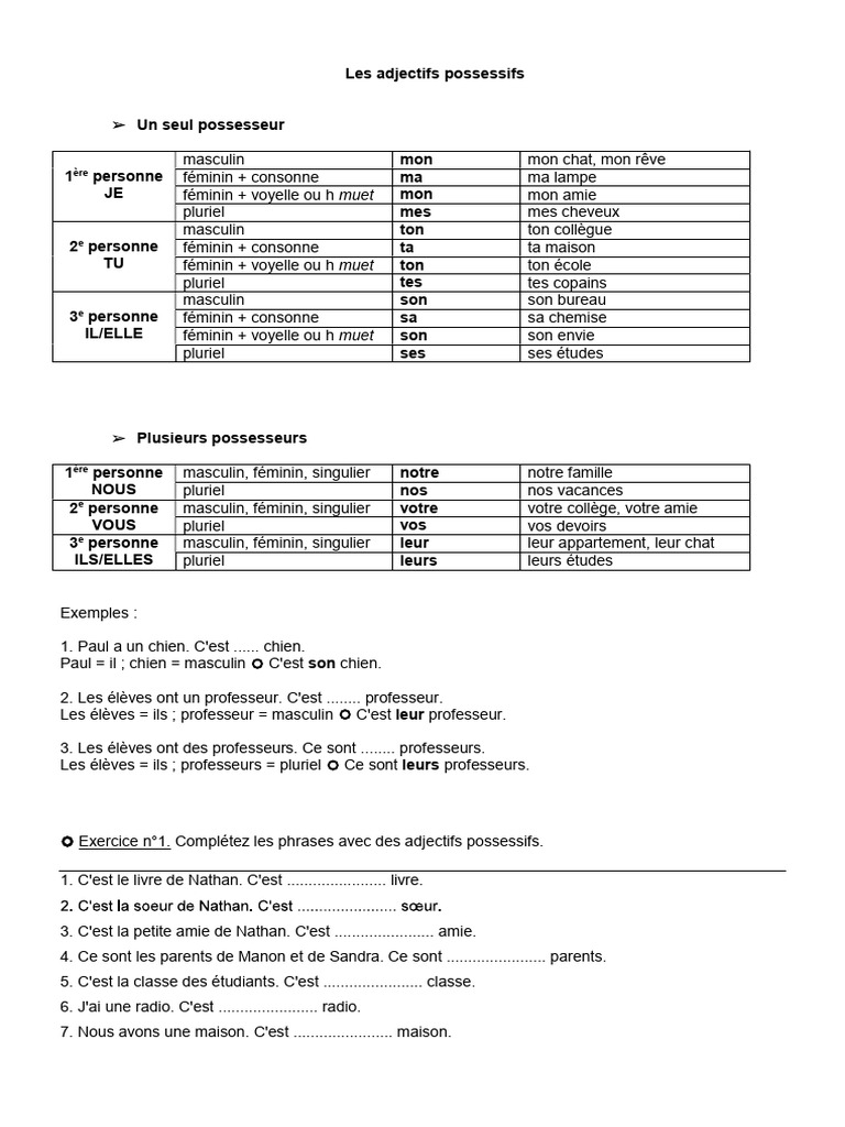Adjectifs et articles possessifs A1 | PDF | Genre grammatical | Nombre ...