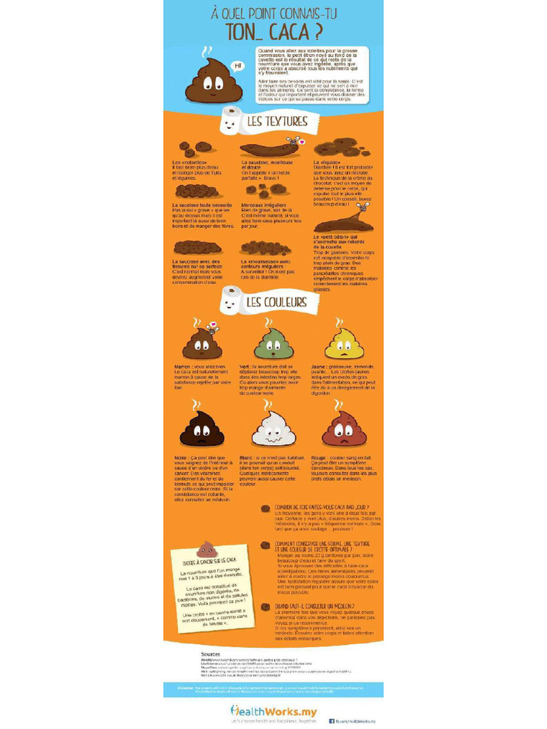 Les Differents Types de Selles | PDF