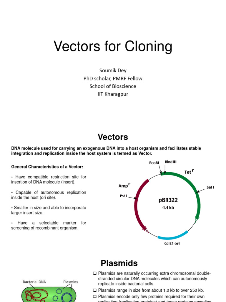 Lecture 6 Vectors Pdf Vector Molecular Biology Plasmid