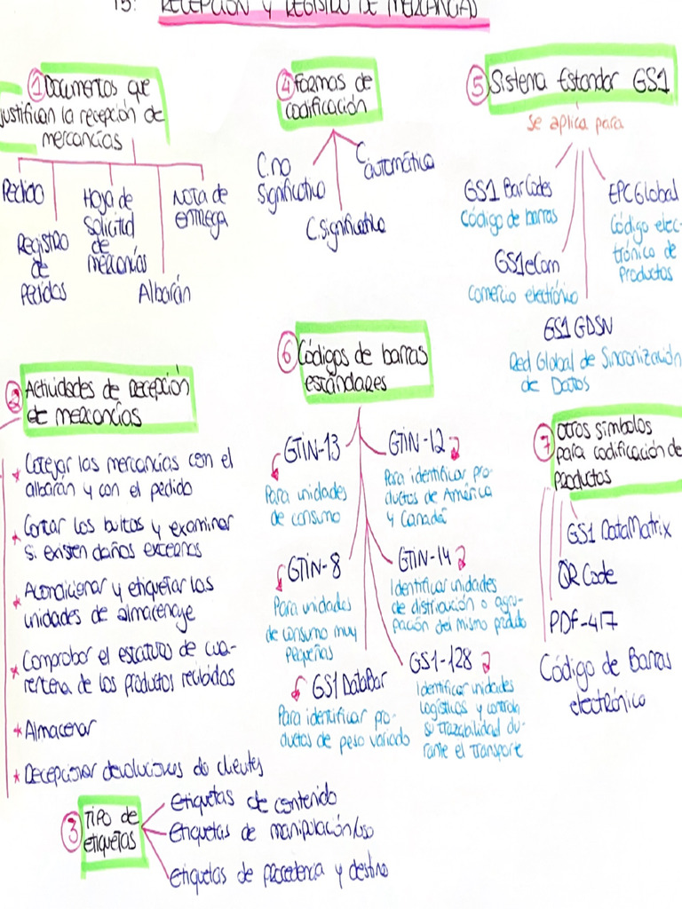 Esquema T5 Recepcion y Registro de Mercancias | PDF