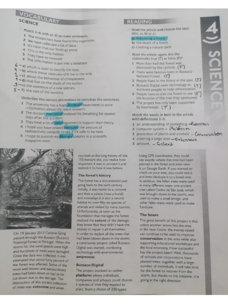 Unit 4 Speakout Intermediate Plus | PDF