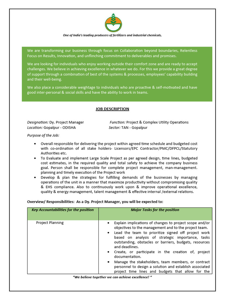 JD Dy Project Manager | PDF | Project Management | Economies