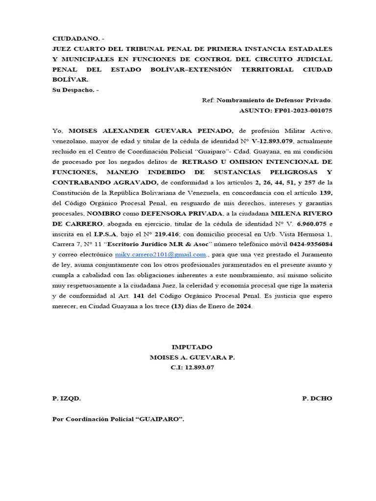 Nombramiento de Defensor Privado | PDF