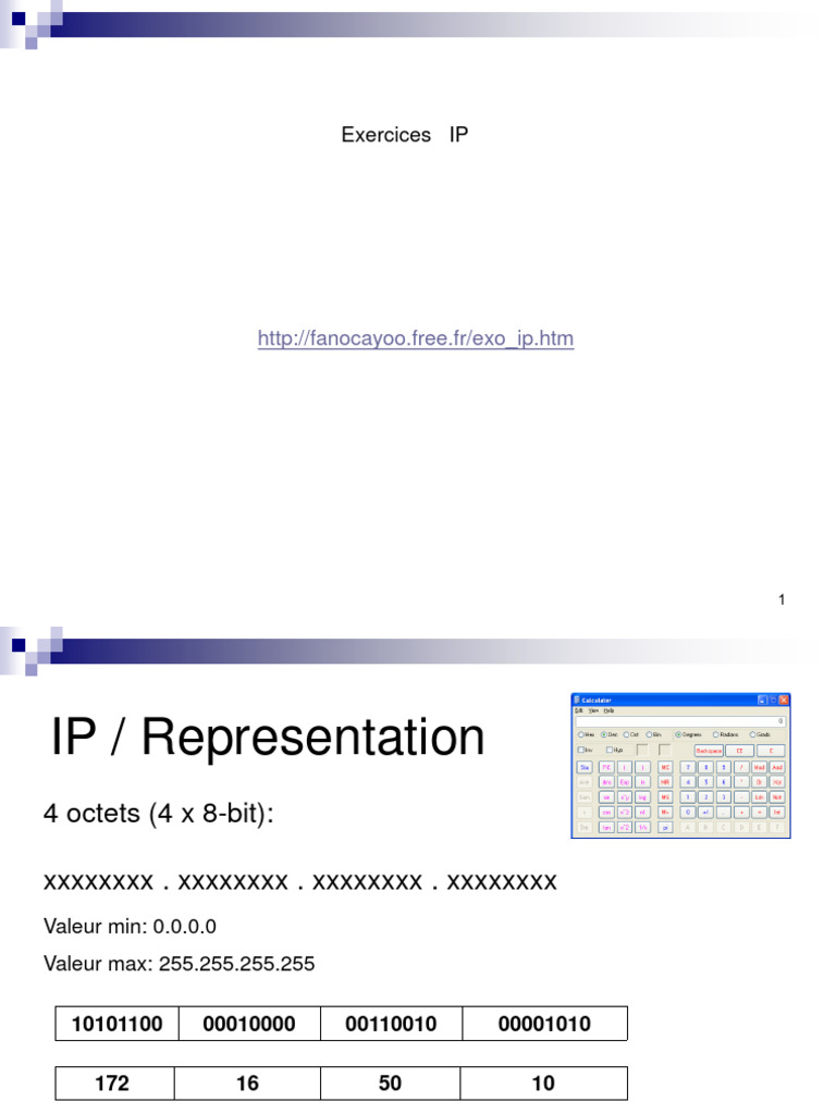 3 Exercices IP | PDF