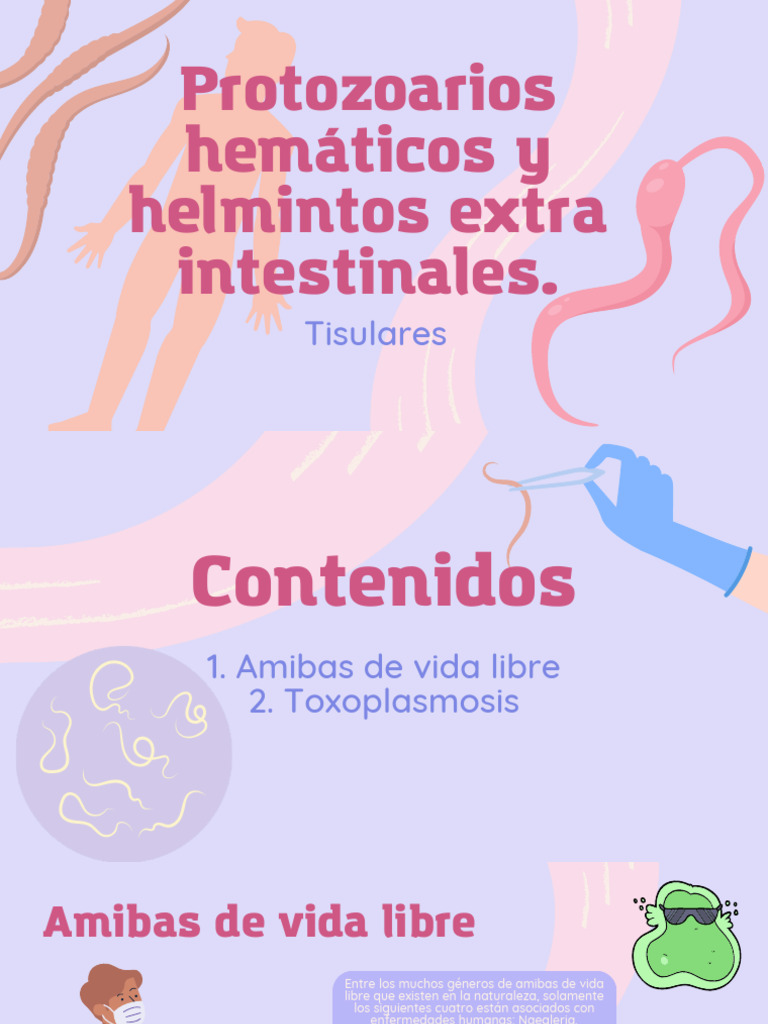 Protozoarios Hemáticos y Helmintos Extra Intestinales. | PDF | Medicina ...