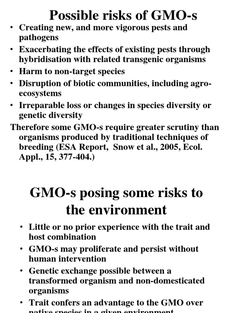 Possible Risks of GMO-s | PDF | Transgene | Genetically Modified Crops