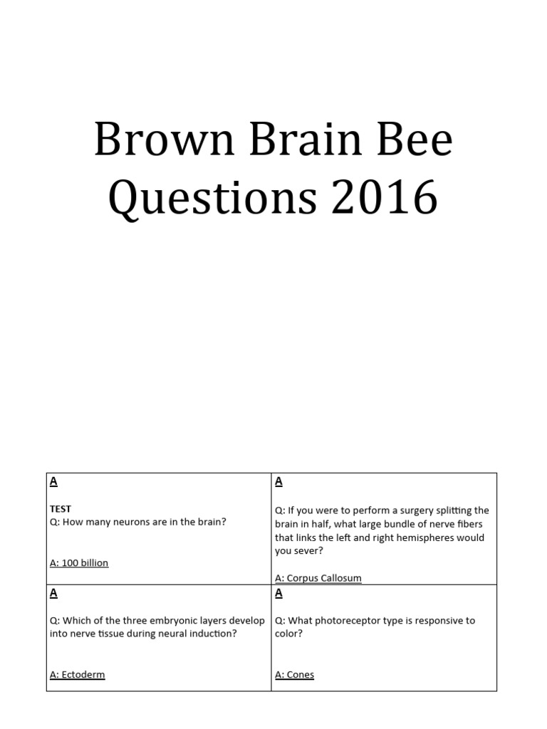 Brown Brain Bee 2016 Question Set | PDF | Nervous System | Neuron