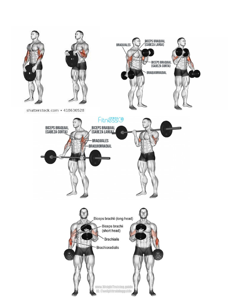 GYM | PDF