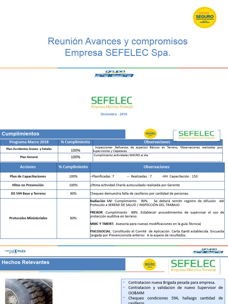 Avances Compromisos Empresa SEFELEC | PDF