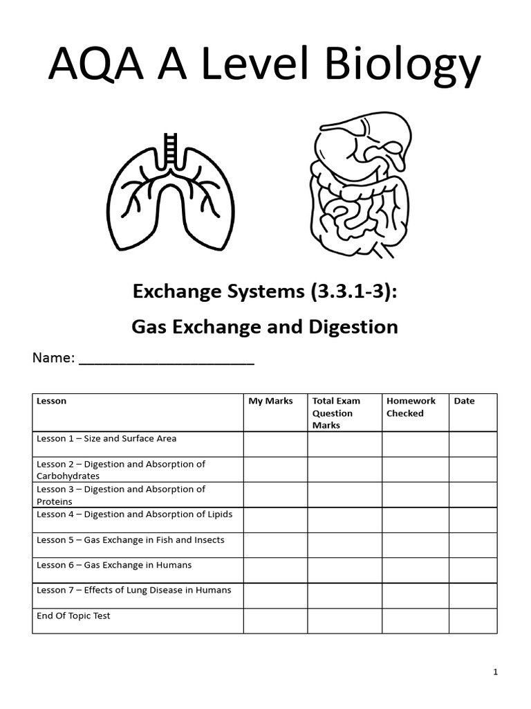 Digestion and Gas Exchange | PDF | Digestion | Hydrolysis