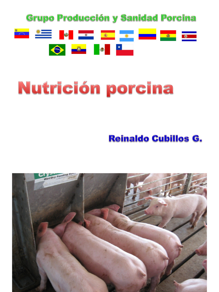 Nutrición Porcina - GPSP AC5 | PDF | Compuestos químicos | Biología estructural