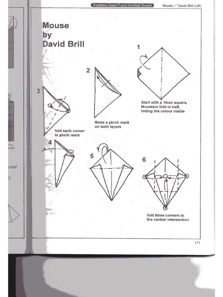 Gato - David Brill | PDF