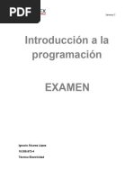 Introduccion A La Programacion EF | PDF | Negocios | Computadoras
