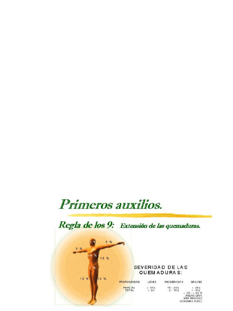 Regla de 9 | Descargar gratis PDF | Quemar | Piel