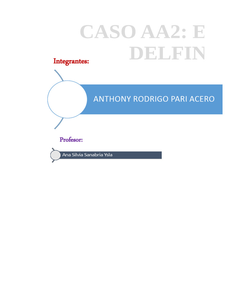 Aa2 Contabilidad Tributaria Caso Los Delfines Sac | PDF