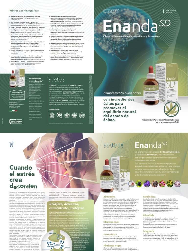 Enanda SD - Ficha Tecnica ESP Definitiva | PDF