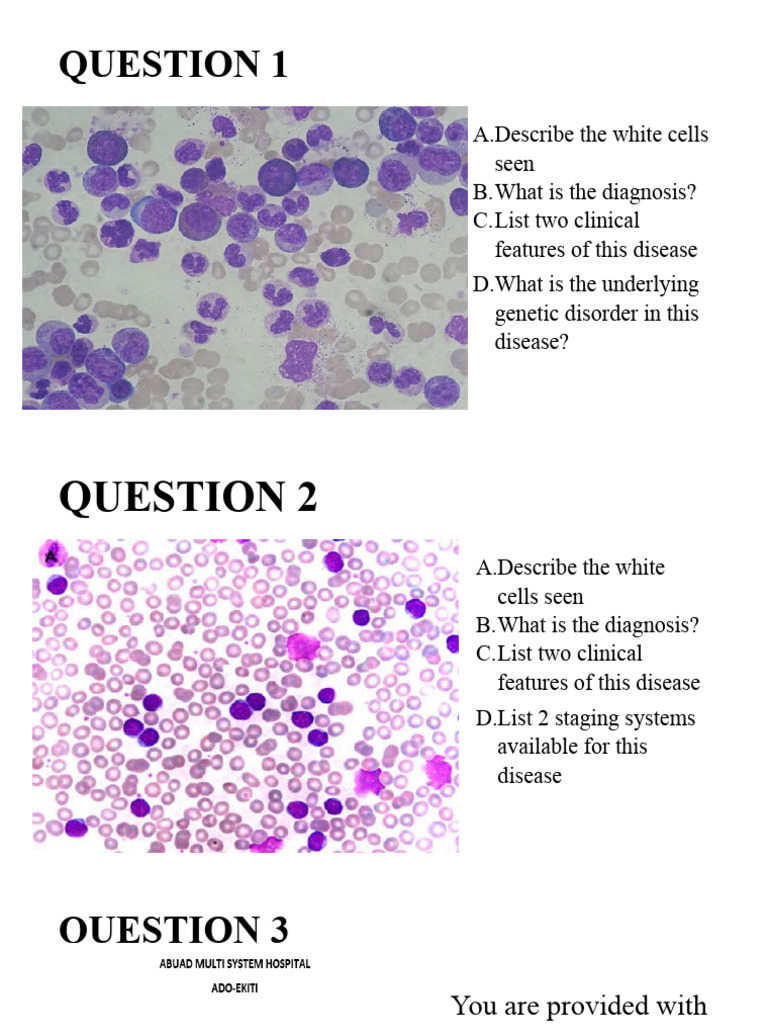 OSPE 2022 | PDF | Blood Type | Hematology