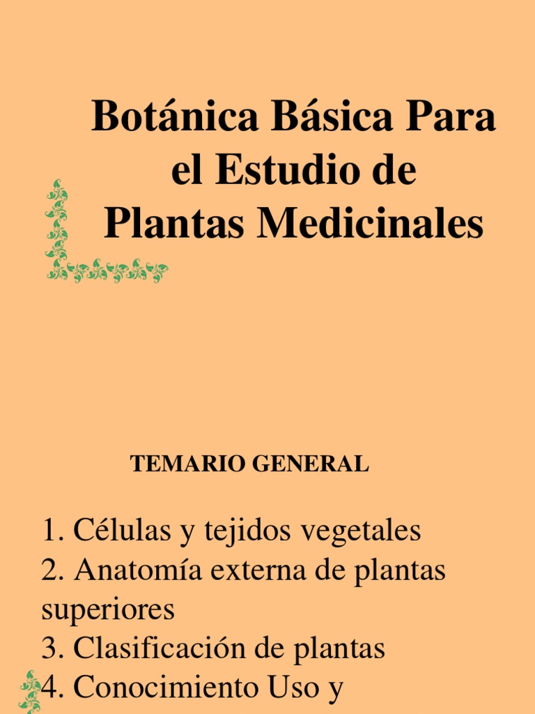 Anatomia de Las Plantas | PDF | Raíz | Hoja
