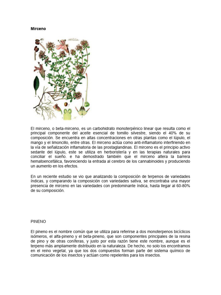 Terpenos Pdf