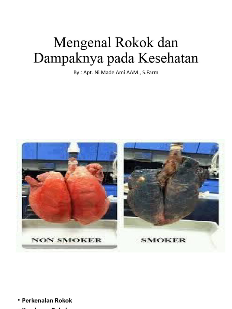 Mengenal Rokok Dan Dampaknya Pada Kesehatan Pdf