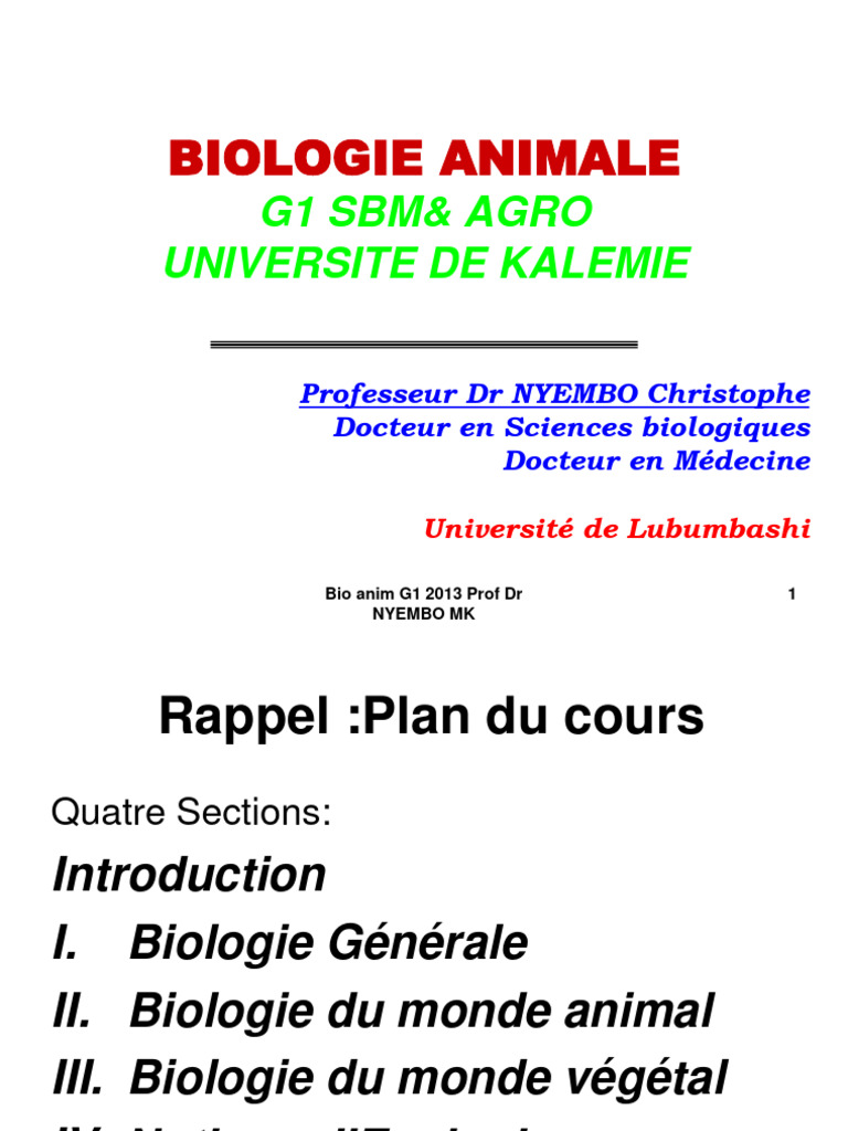 Cours de Biologie Animale L1 PDF | PDF | Anatomie