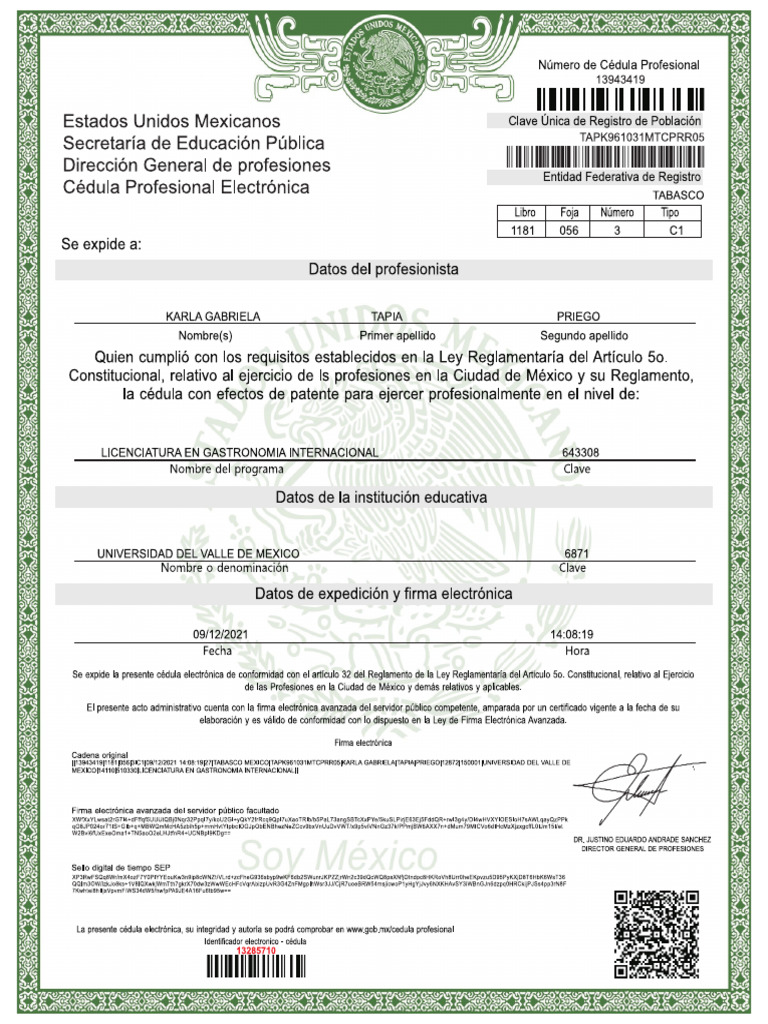 Cedula Profesional KARLA | PDF