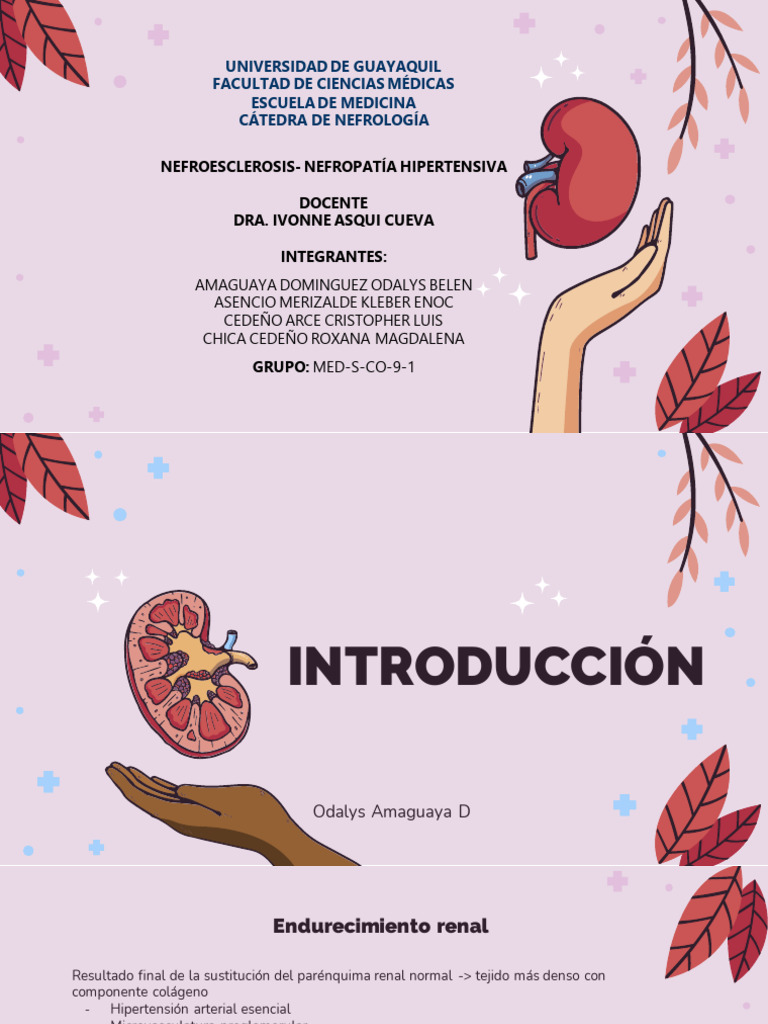 Nefroesclerosis Hipertensiva: Diagnóstico y Tratamiento | PDF ...