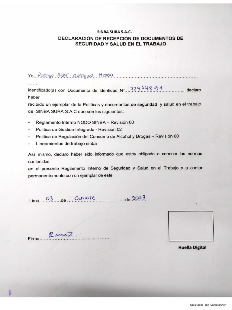 Declaración Jurada de Recepción de Documentos de Seguridad - CIRC | PDF